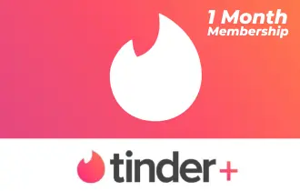 Buy Tinder Plus 1 Month Membership Gift Cards Online | ARPAY